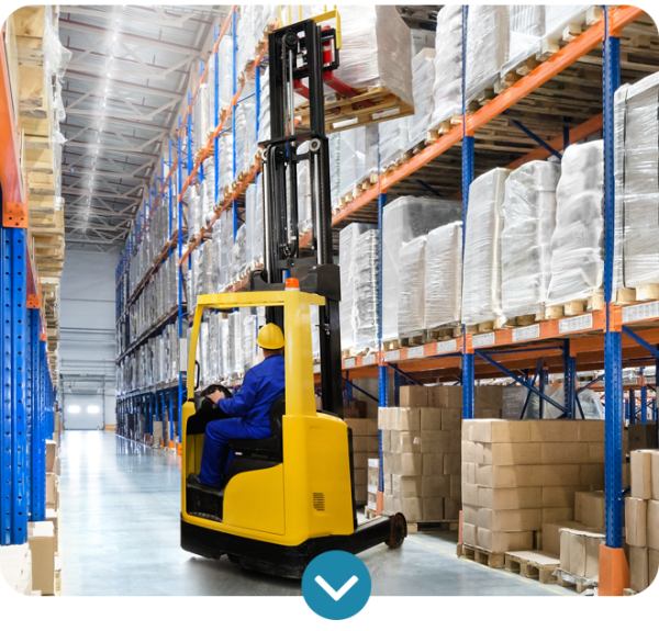 Arriendo | Halter Lift