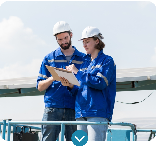 Arriendo | Halter Lift