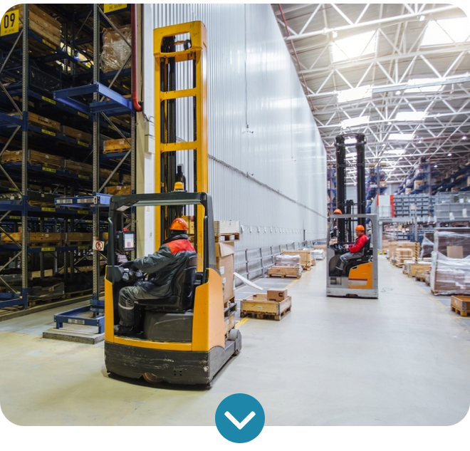 Arriendo | Halter Lift