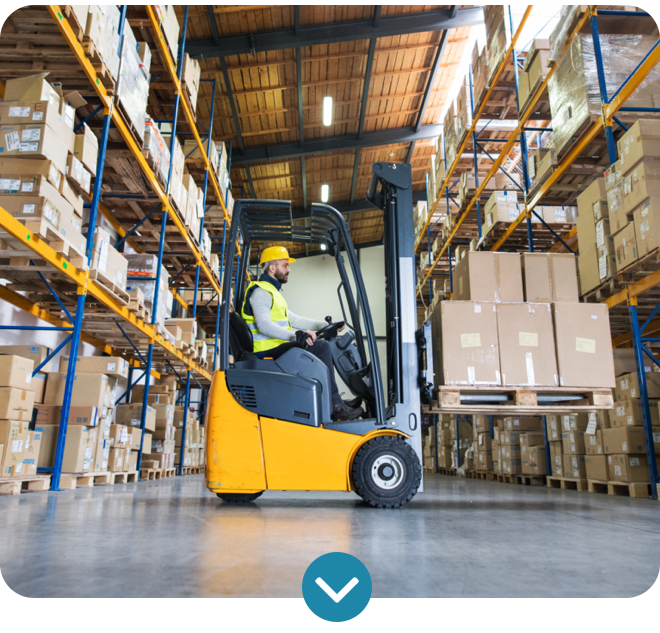 Productos | Halter Lift